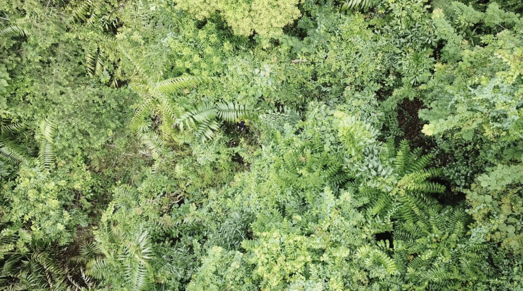 GeoCo | Mud Volcanoes & Jungle Expeditions Gone Wrong With Dr Mark Tingay